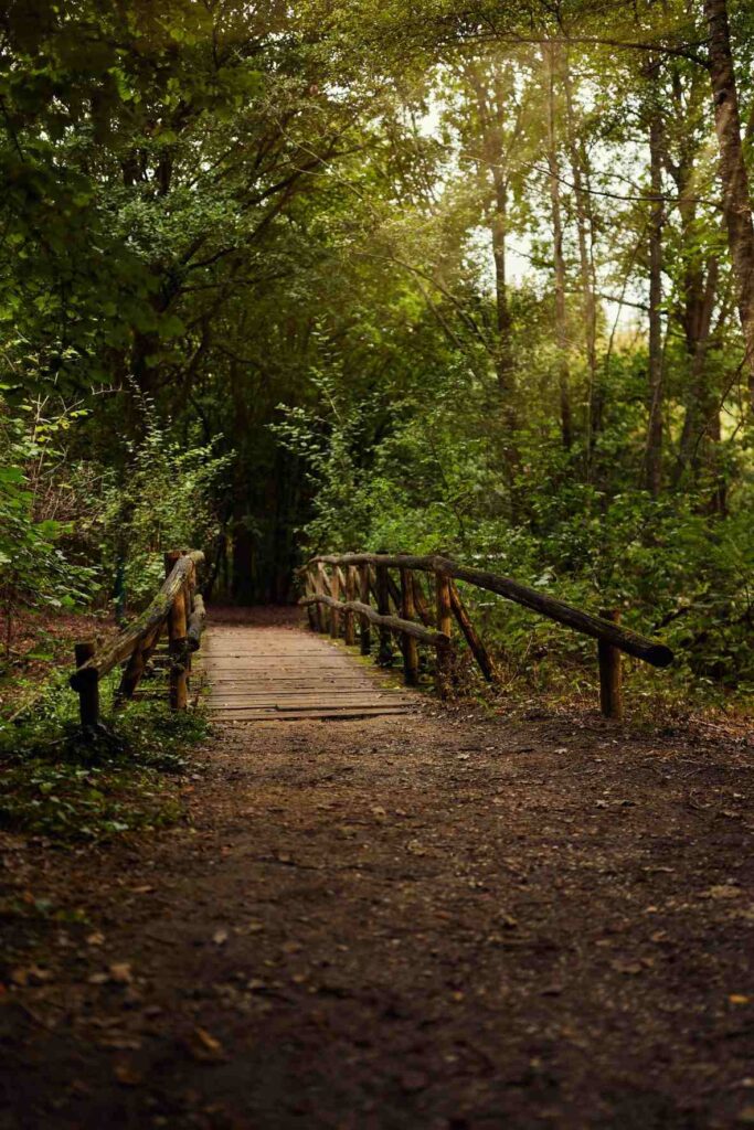 Bij Het Meerdal beleef je de echte Center Parcs ervaring in de natuur ...