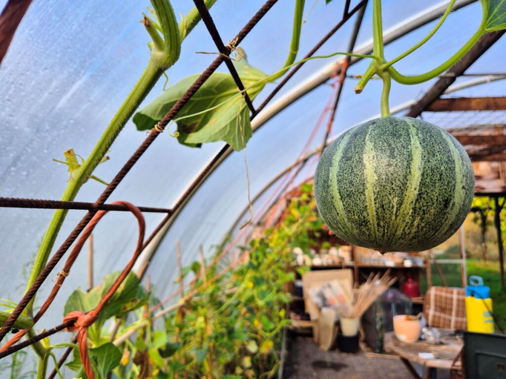 Uitje in Oost‑Friesland: pluktuin Fruithof de Struikrover - www ...